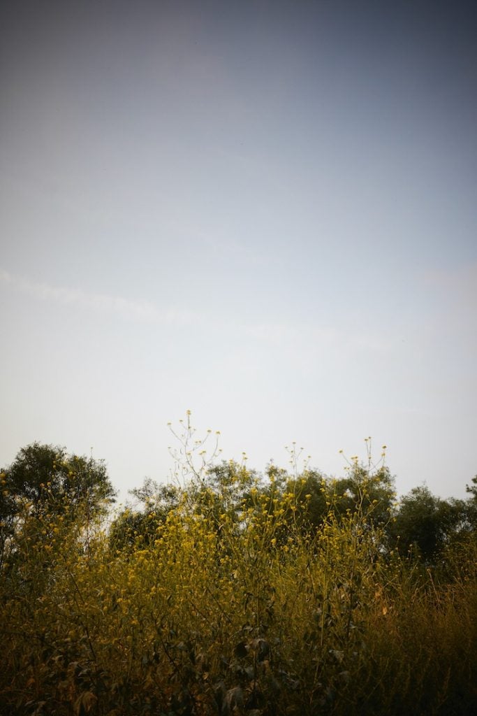 Cleveland Lakefront Nature Preserve Photos - Port of Cleveland